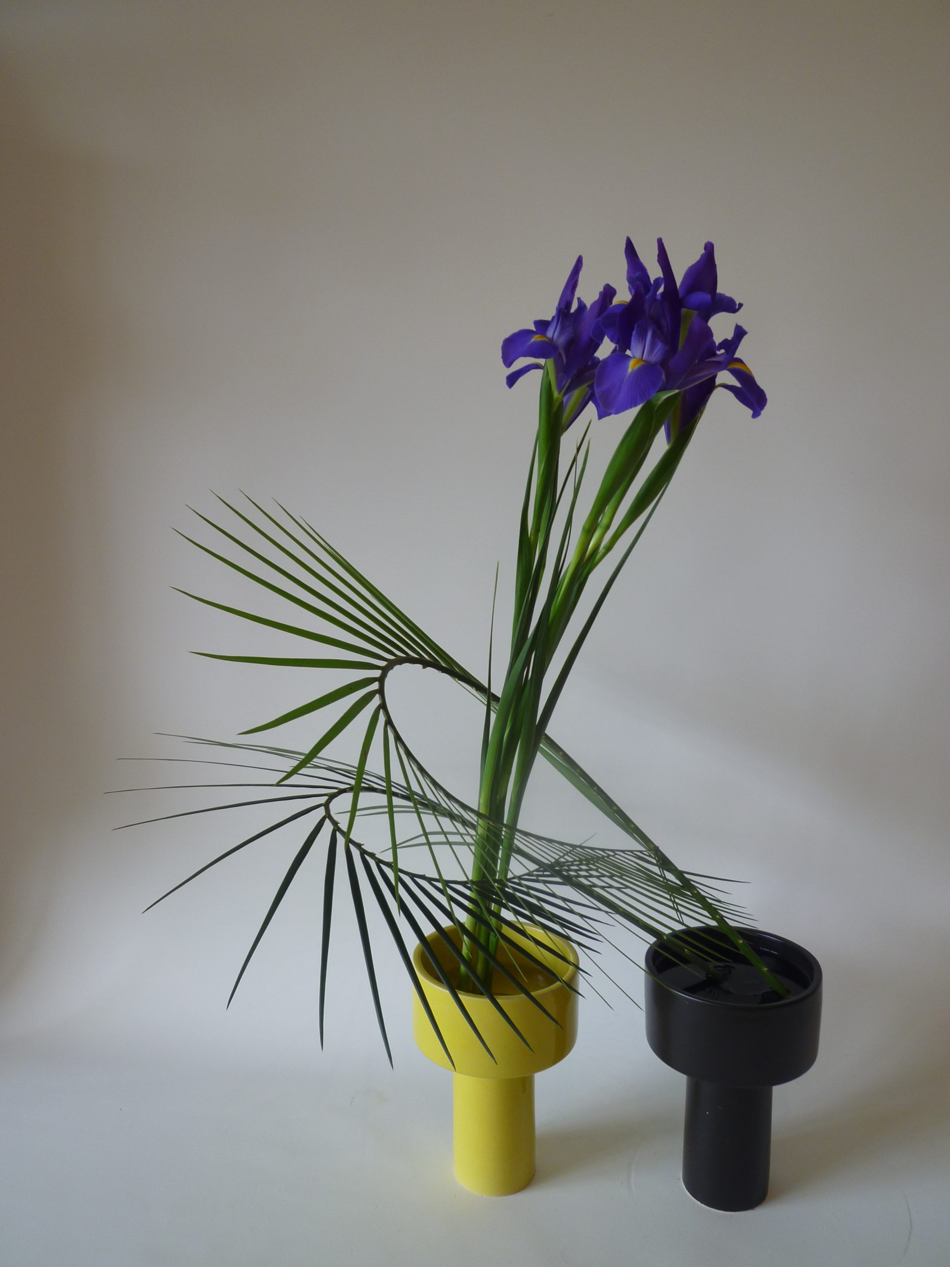 GACL-article-2 - Greek Herald