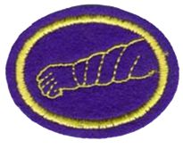 Pathfinders Australia