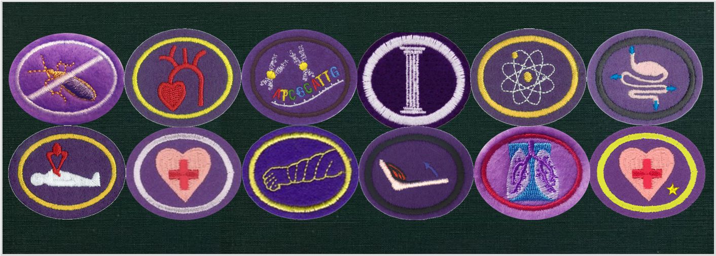 Pathfinders Australia