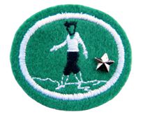 Pathfinders Australia