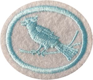 Pathfinders Australia