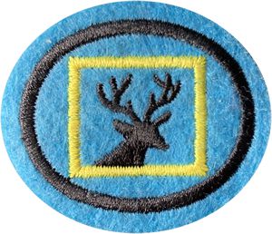 Pathfinders Australia