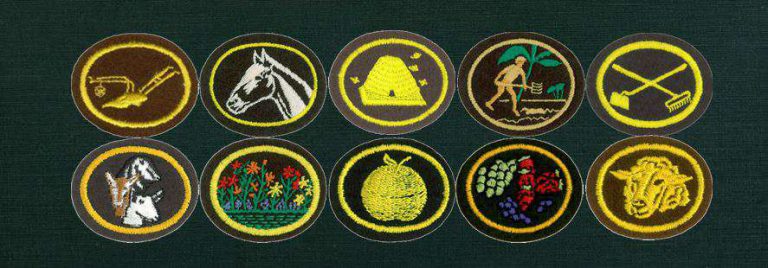 Pathfinders Australia