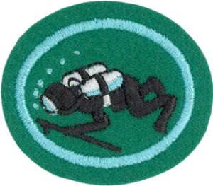 Pathfinders Australia