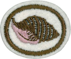 Pathfinders Australia