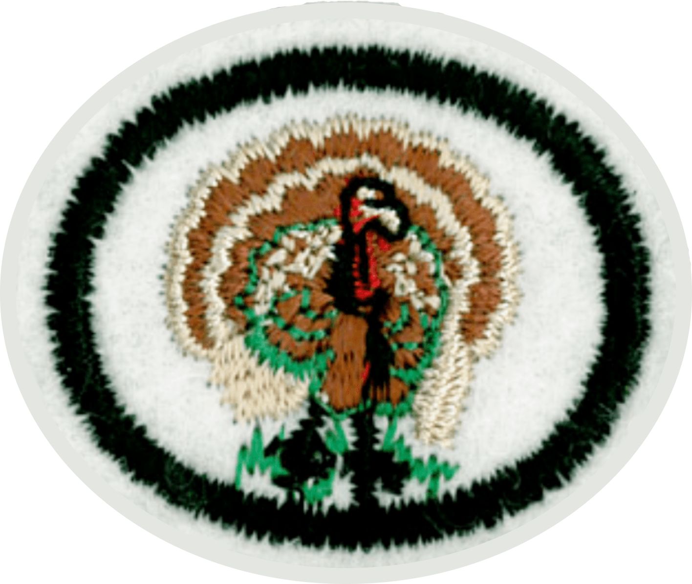 Pathfinders Australia