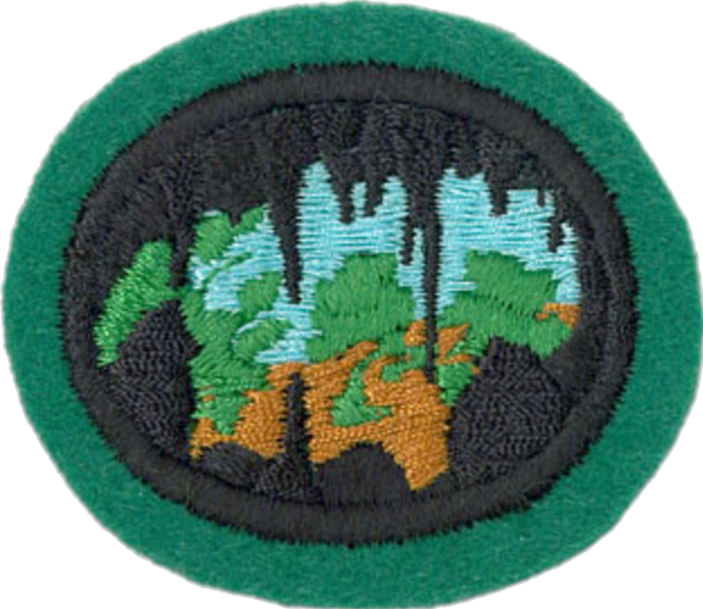 Pathfinders Australia