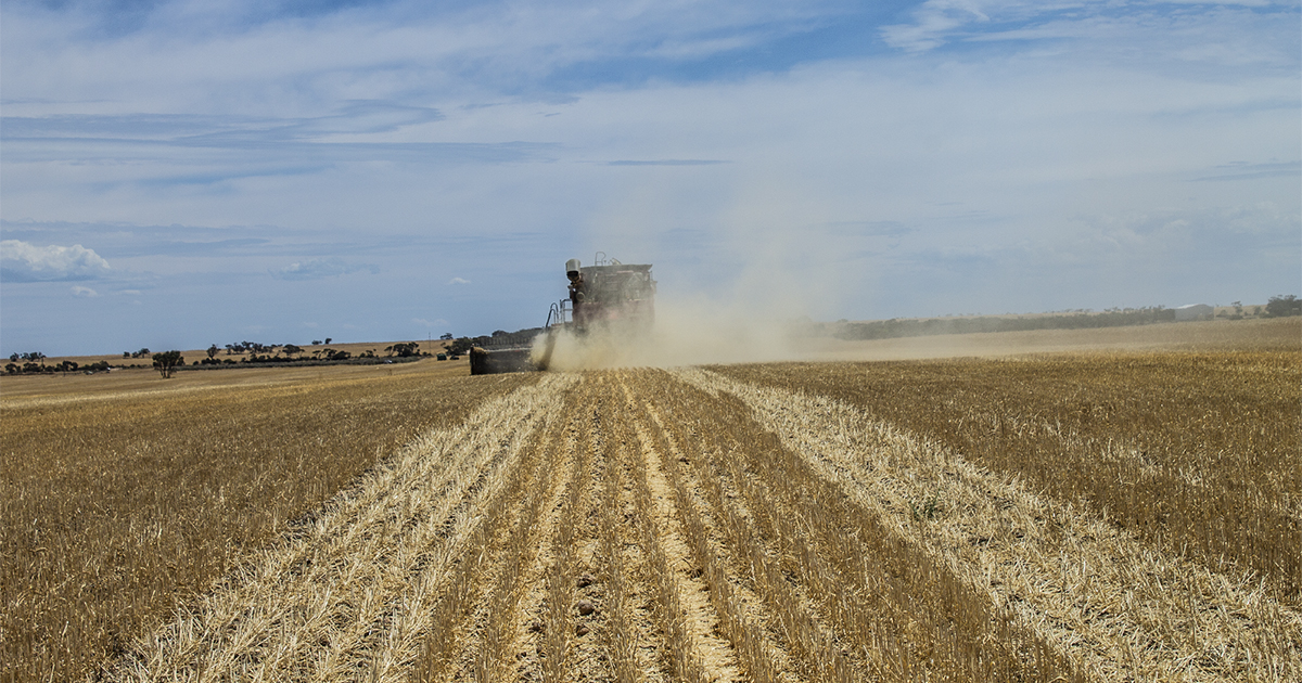 Surprising chaff lining results and the future of mill technology ...
