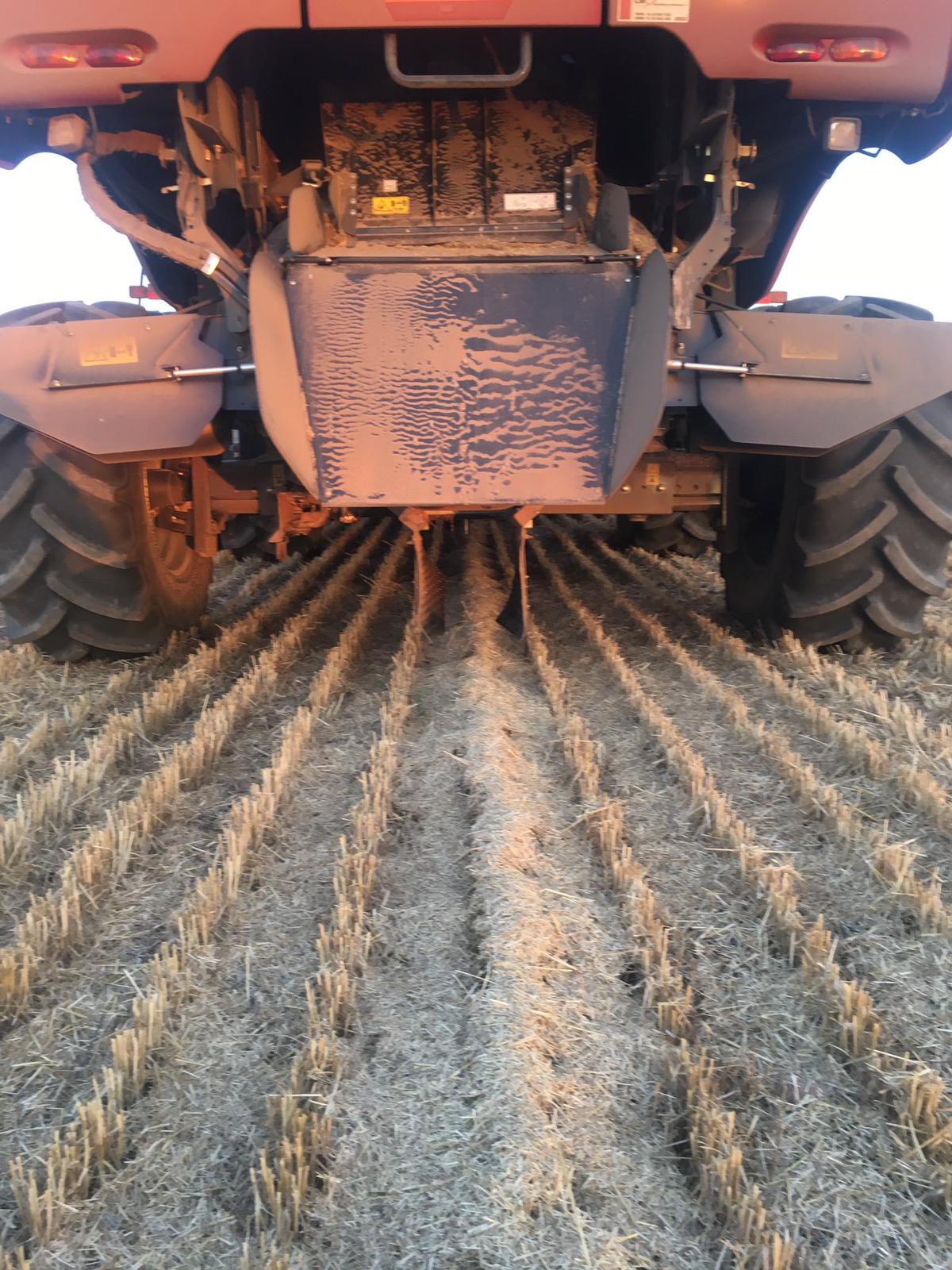 Chaff Lining - WeedSmart