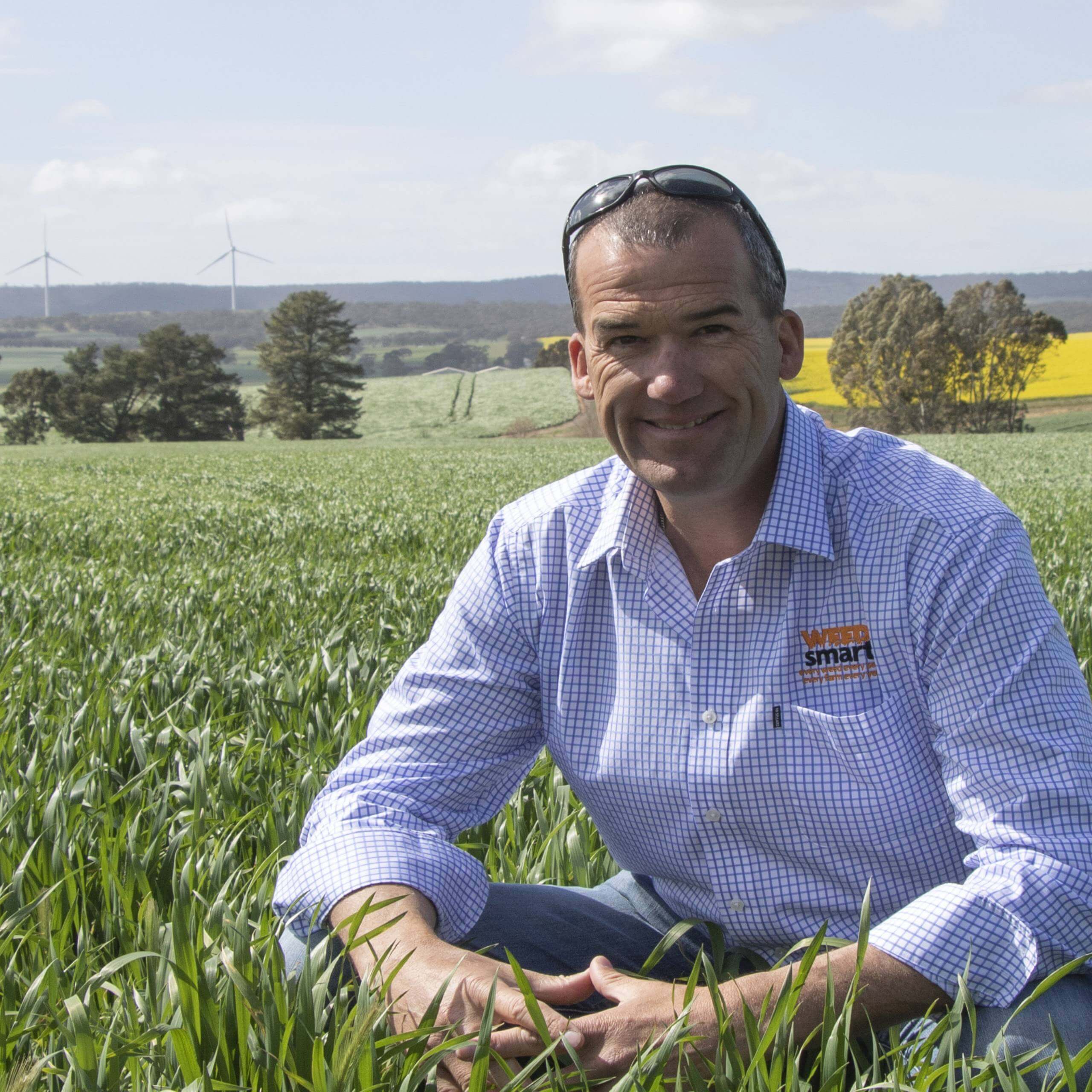 Crop preparation ahead of harvest and optimum harvester set-up for HWSC ...