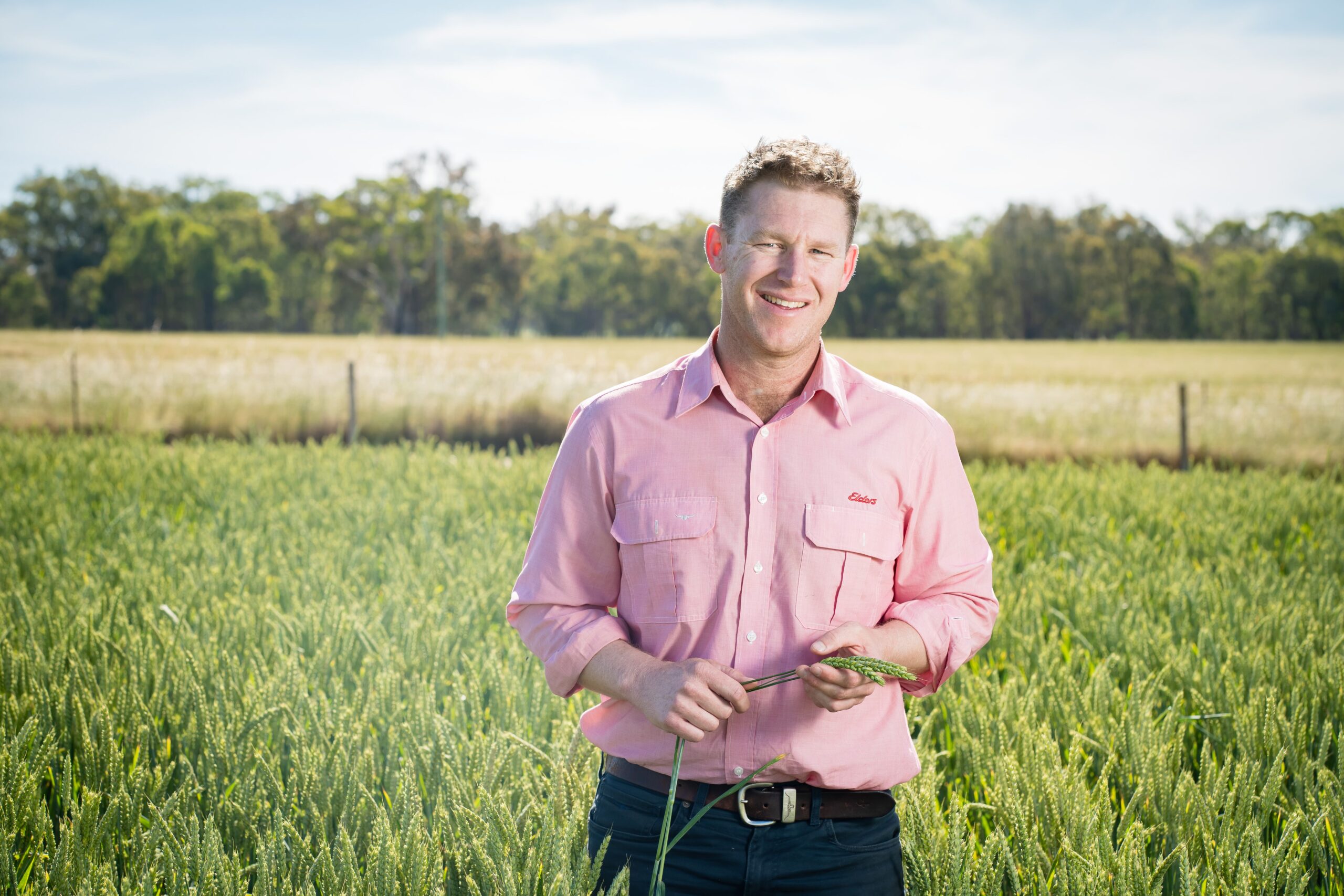 Regional Update - Chris Toohey, Albury, NSW - WeedSmart