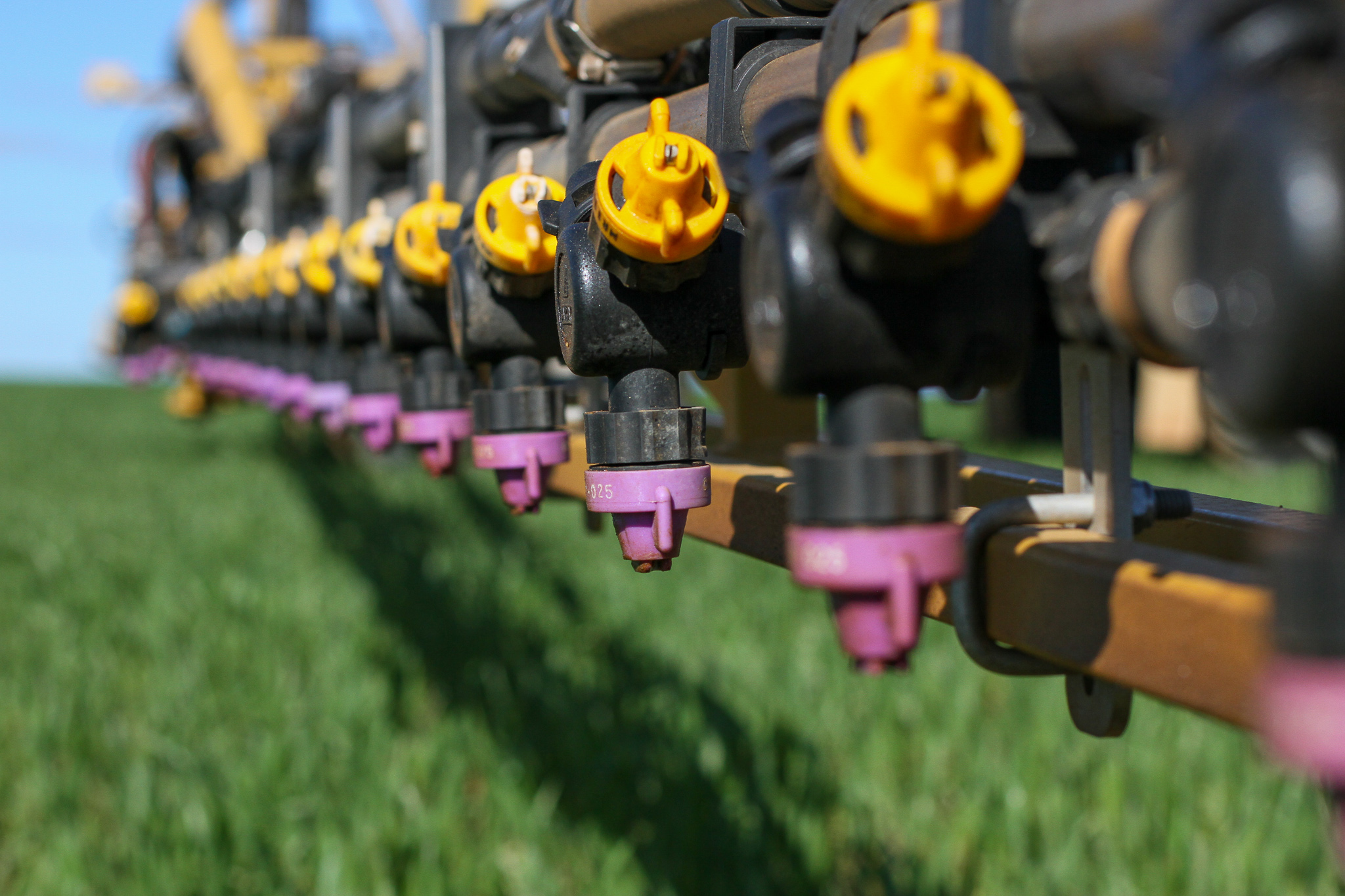 Precision weed control – where are we at? - WeedSmart