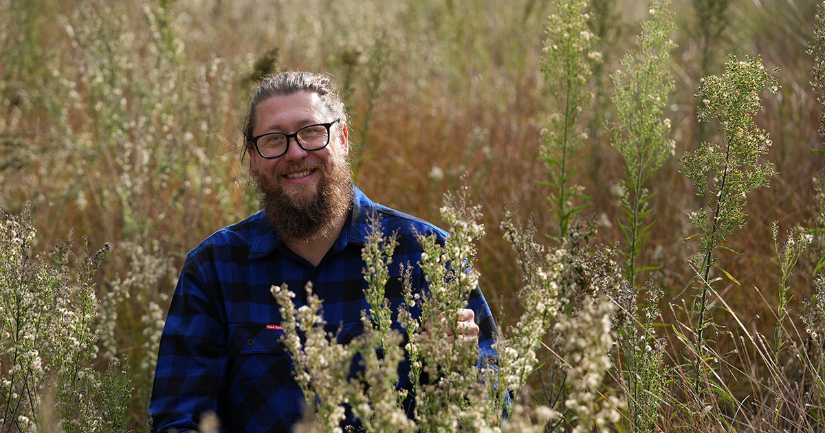Is biological control of flaxleaf fleabane practical? - WeedSmart