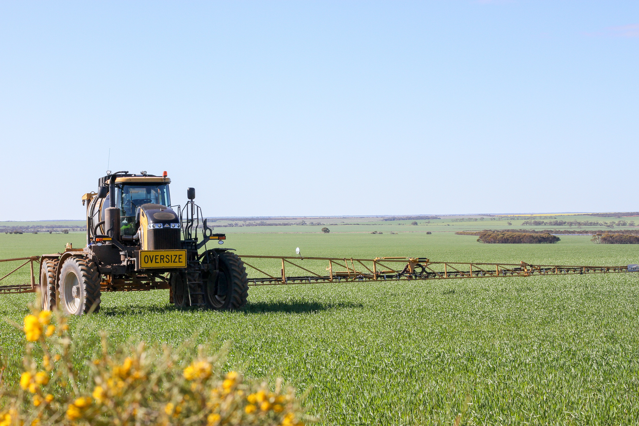 Spot spray technology - advantages and challenges of the latest ...