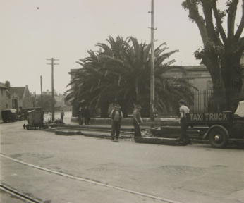 Darlinghurst Court House - Significant Trees