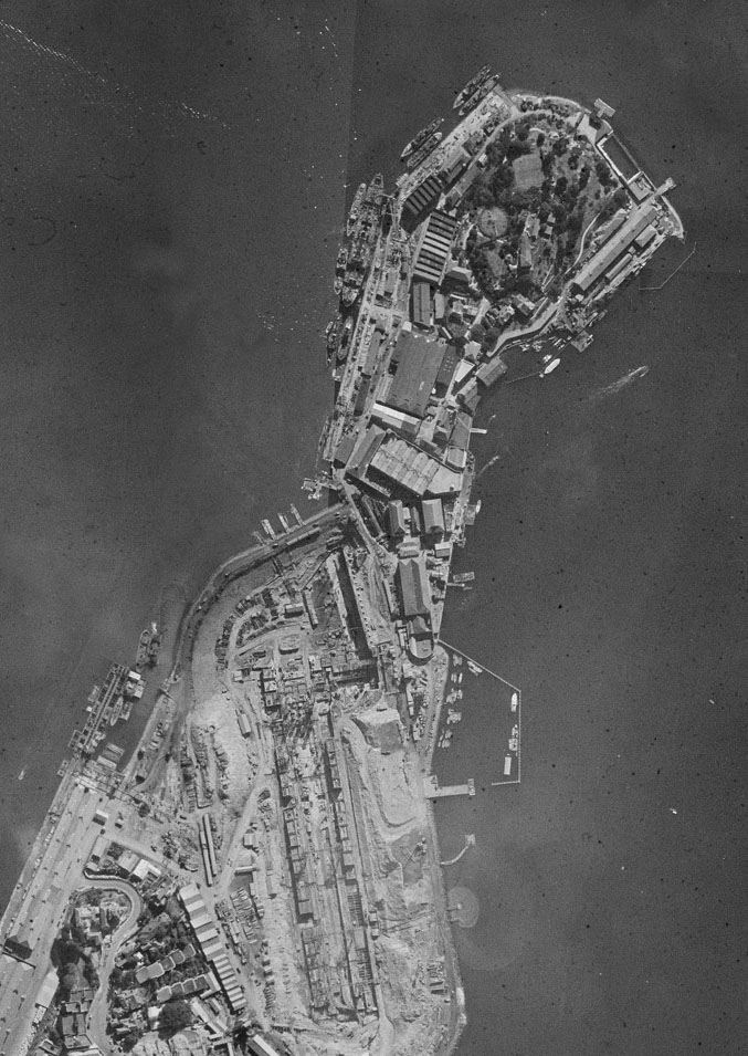 Garden Island / HMAS Kuttabul - Significant Trees