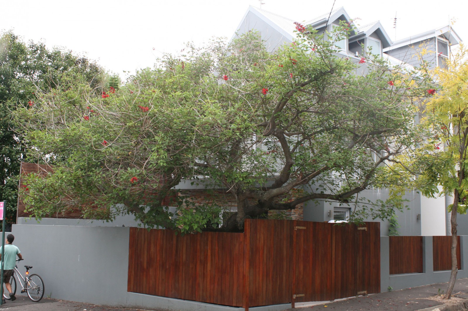 Nom_Inspect-130213-12 - Significant Trees