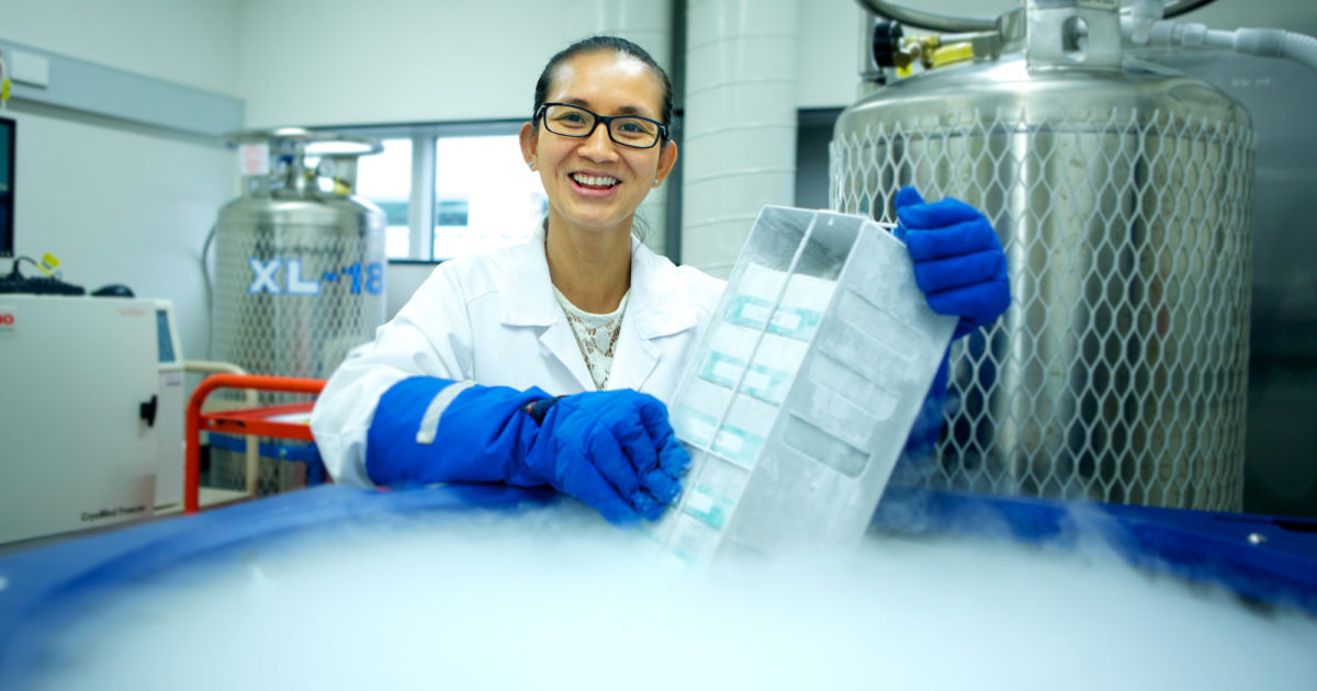 CellBank is helping researchers tackle Australia’s deadliest… | CMRI