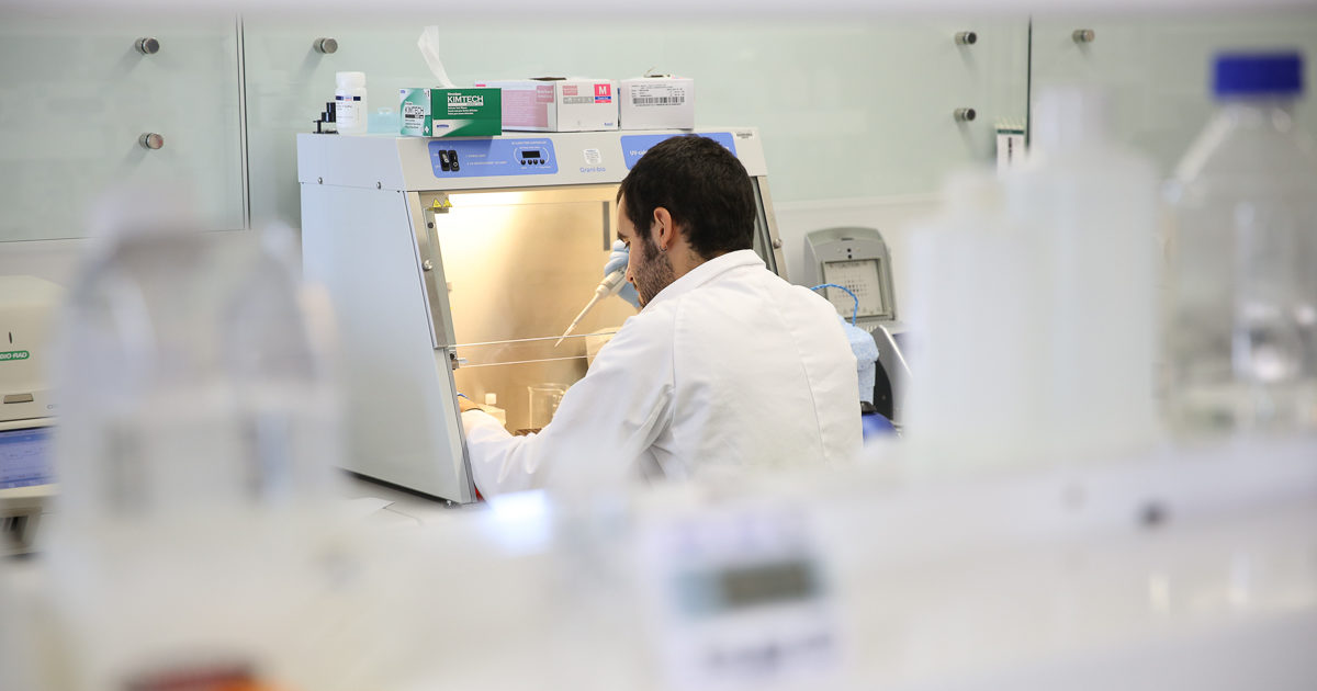 Researchers working to improve clinical outcomes for liver… | CMRI