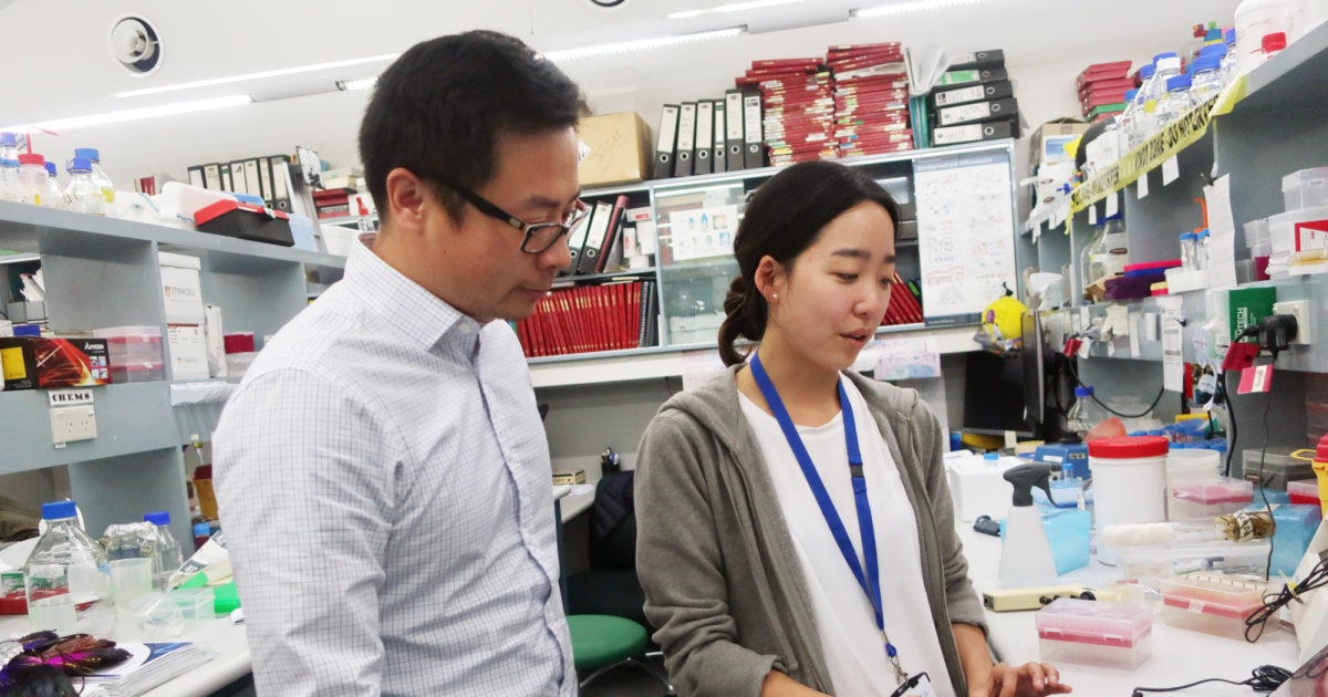 New data tool to improve treatment options | CMRI