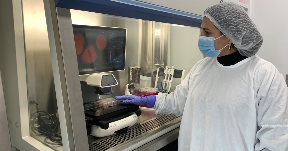 CMRI scientist awarded fellowship for retinal disease | CMRI