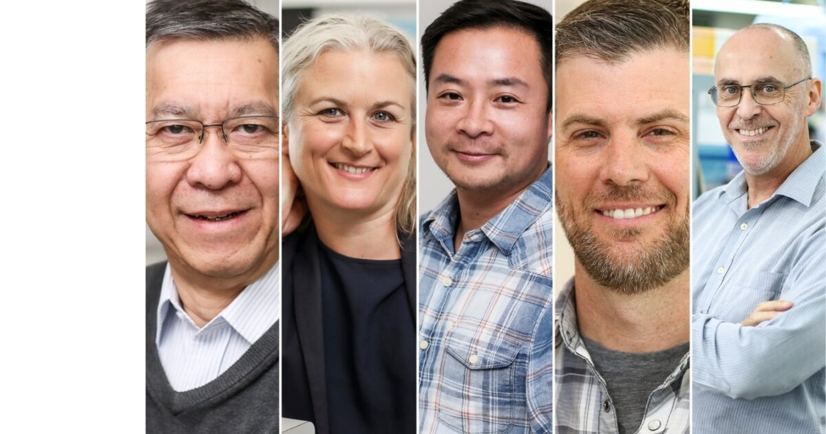 CMRI scientists win Australian Research Council Discovery… | CMRI
