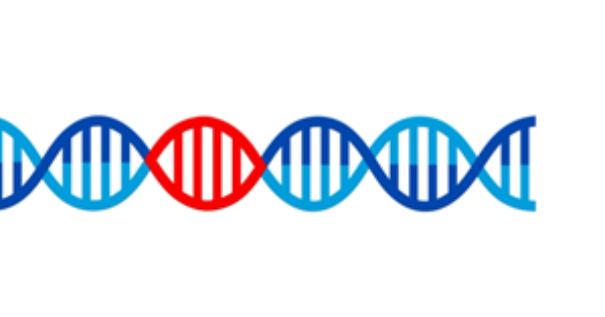 Genome Engineering Services | CMRI