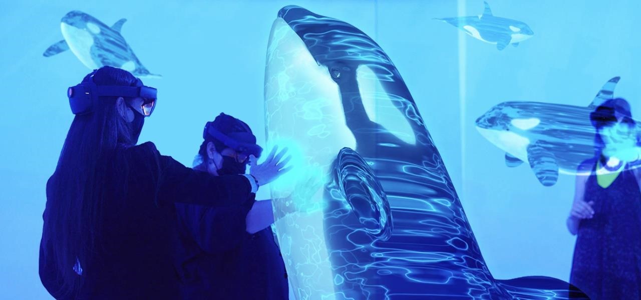 Learning the Story of Endangered Whales Through Mixed Reality - The ...