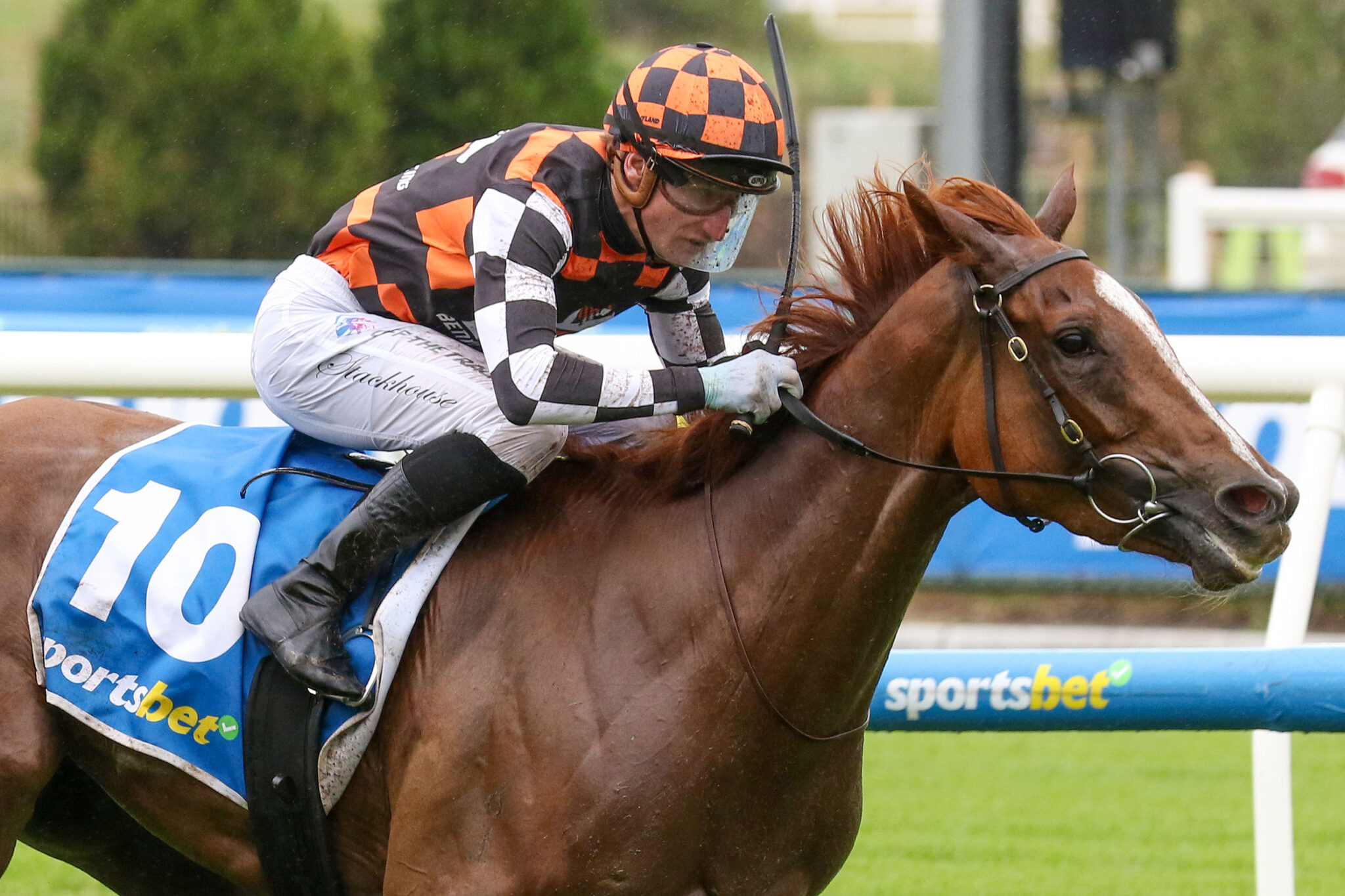 Gold Coast Racecourse - Queensland Racing