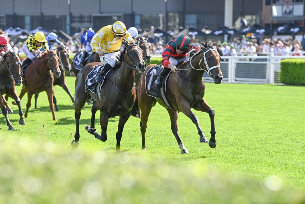 Moonee Valley Racecourse - Melbourne Racing