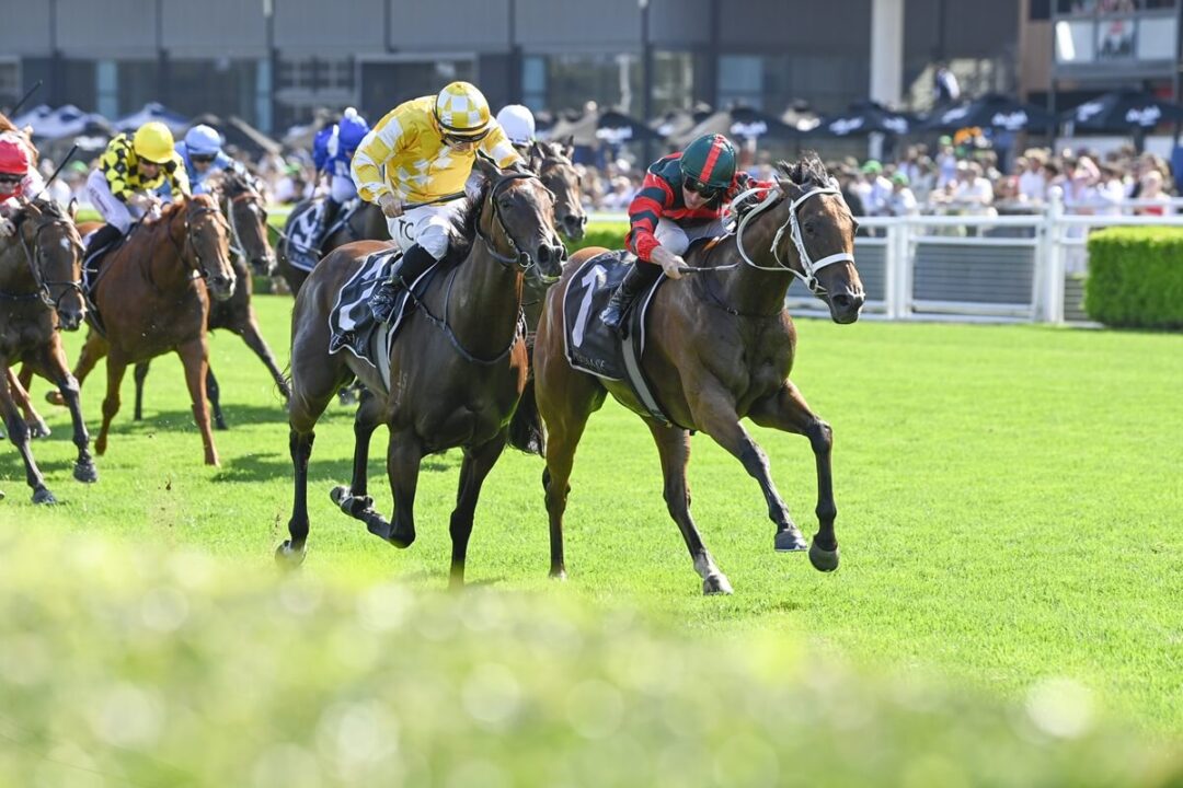 Moonee Valley Racecourse - Melbourne Racing