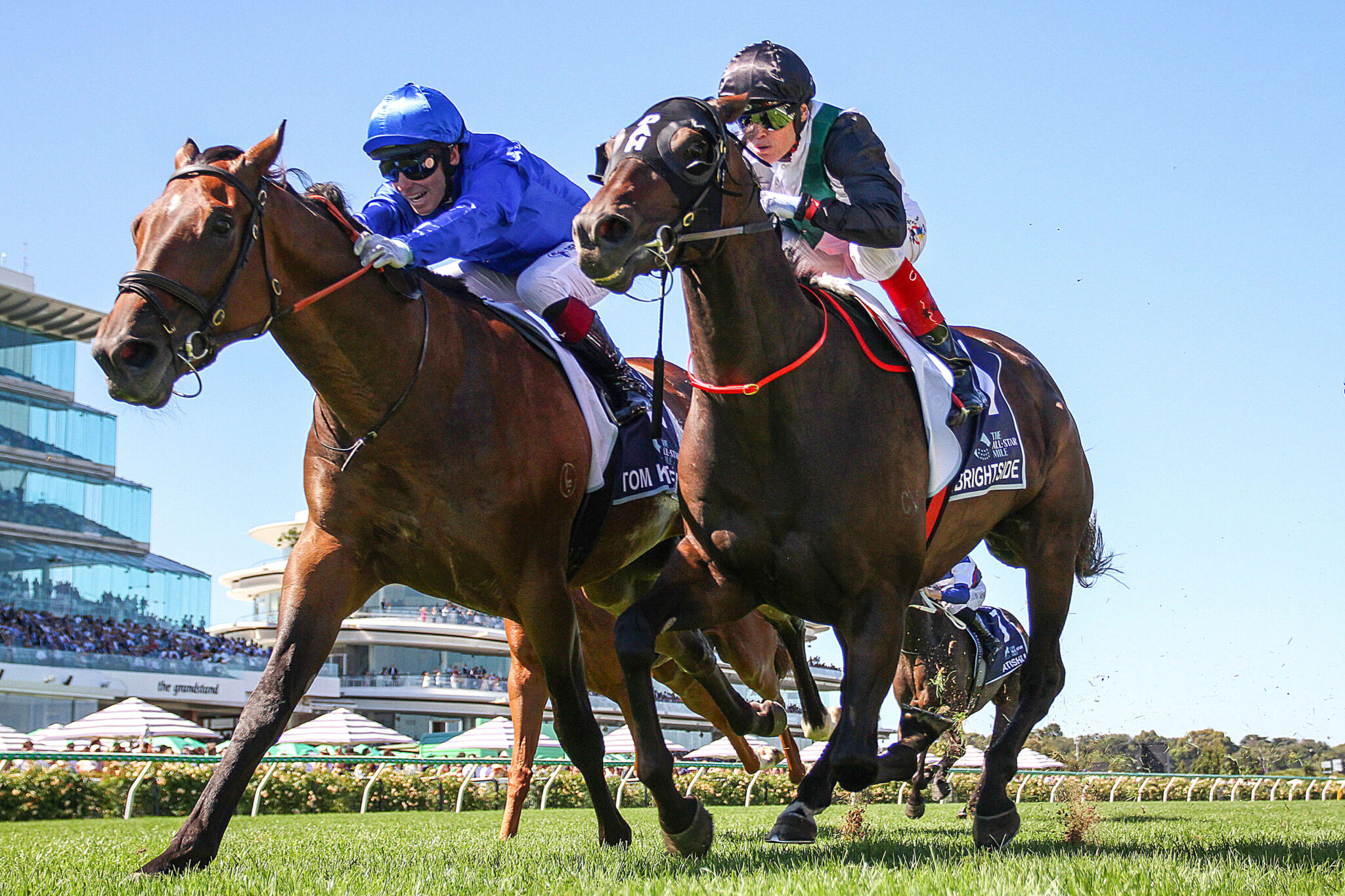 2025 All-Star Mile Winner Tom Kitten Beats Mr Brightside - HorseRacing ...