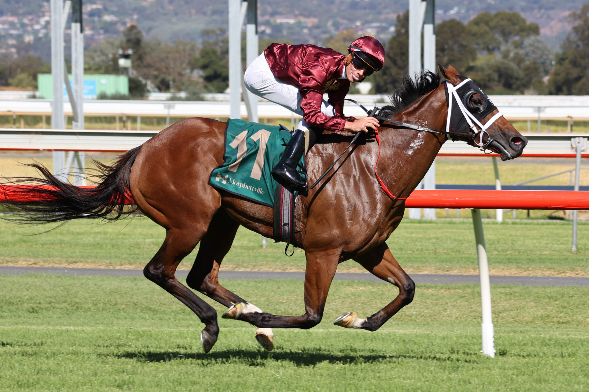 2025 Robert Sangster Stakes Field & Betting Update: Climbing Star ...
