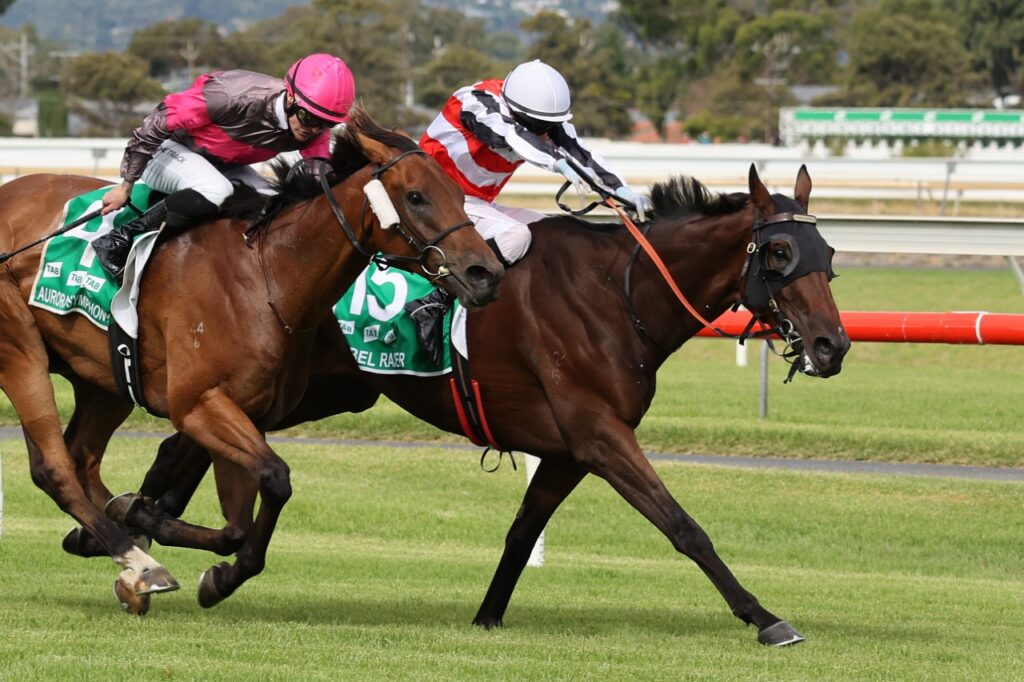 Rebel Racer Wins 2023 Adelaide Cup at 25/1 - races.com.au