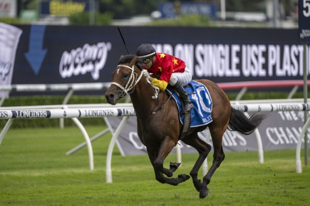 Champagne For Waller’s 2023 Inglis Sires’ Winner Militarize - races.com.au