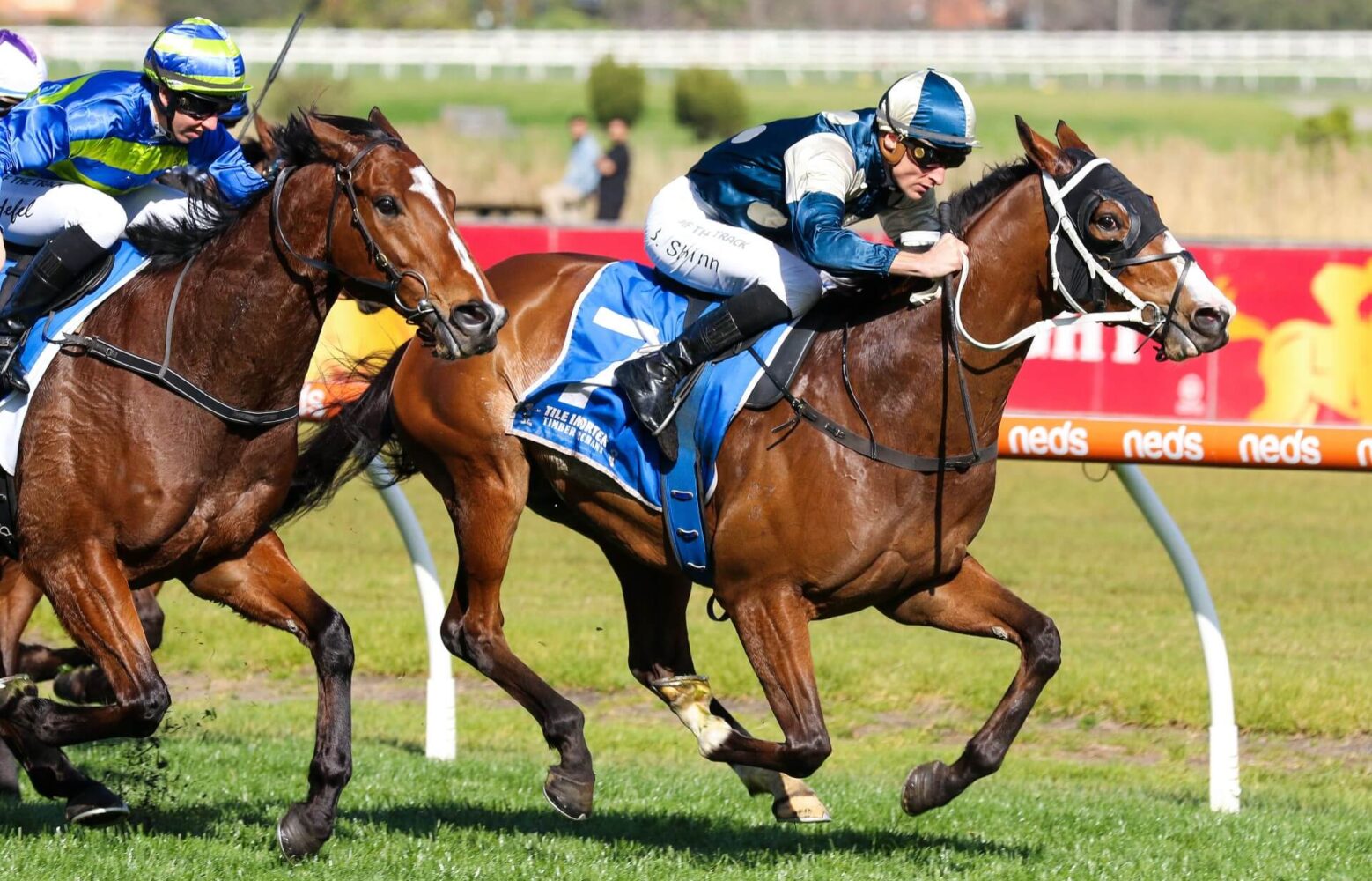 All Melbourne Cup Horses In 2023 Field: Pros & Cons - races.com.au