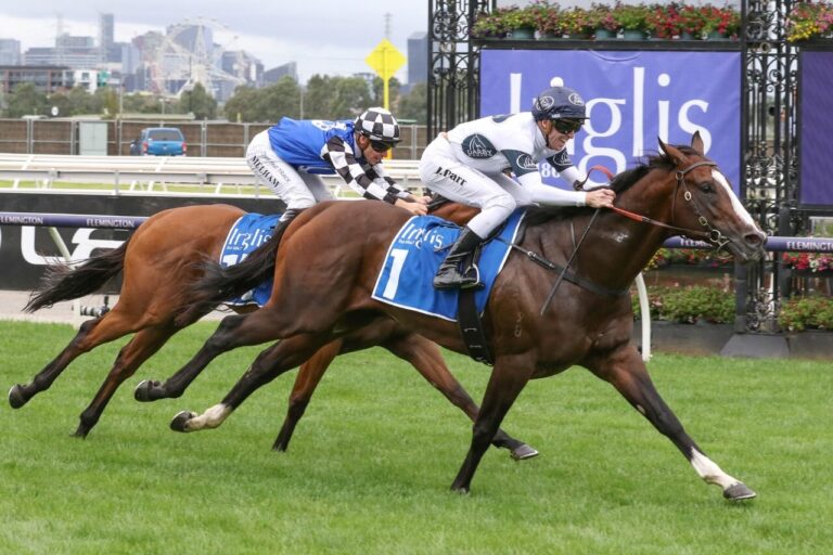 2025 Winterbottom Stakes Field & Betting: Jokers Grin vs Overpass ...