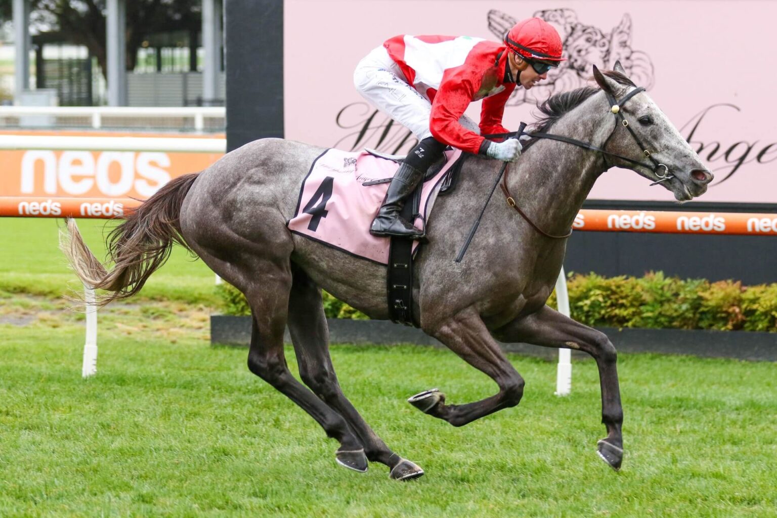 Military Mission Fires in 2023 Zipping Classic Results - races.com.au