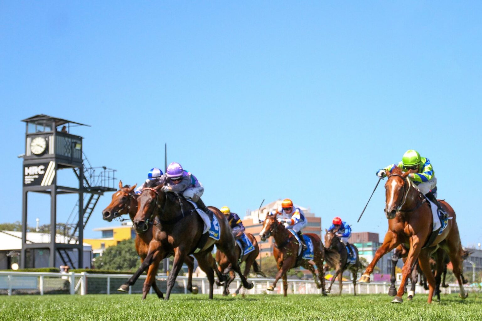 2024 Blue Diamond Stakes Final Field & Barrier Draw Confirmed - races ...