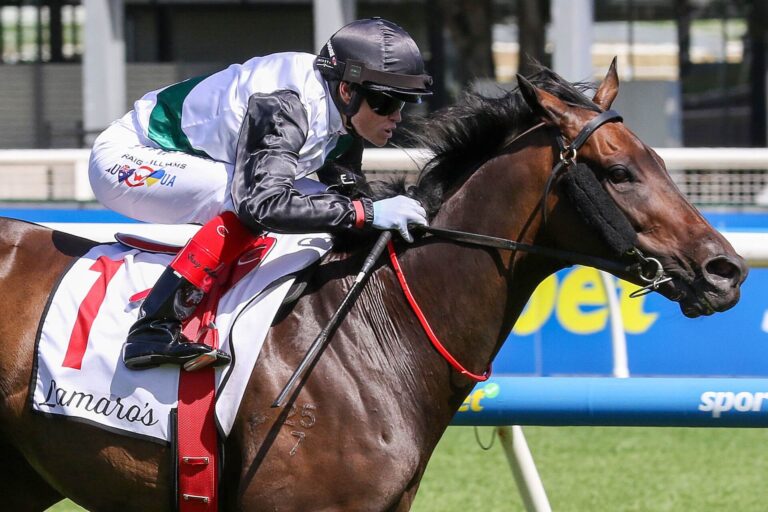 Mr Brightside Wins Futurity Stakes 2024 Ahead of All-Star Mile ...