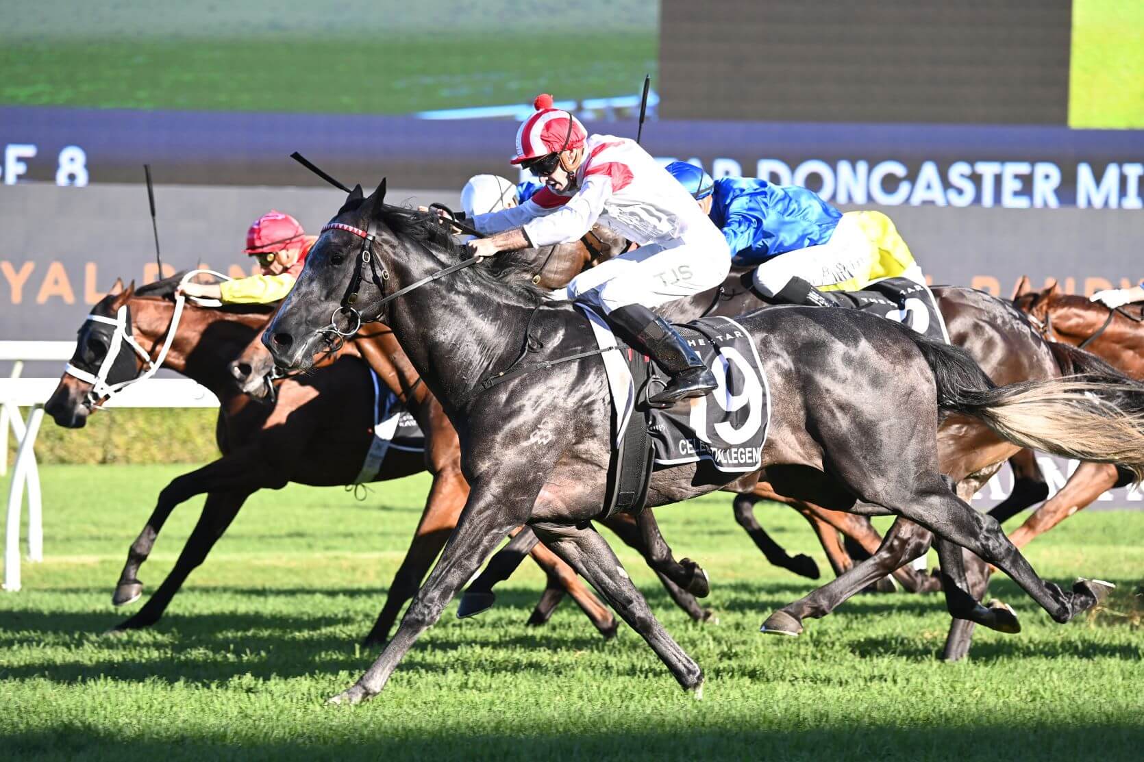 Doncaster Mile 2024 Results: Celestial Legend Flashes Home Late for ...