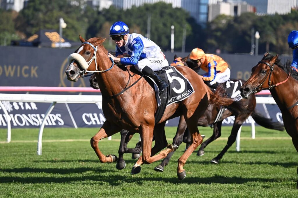 Australian Oaks 2024 Results: Autumn Angel Beats Zardozi on the Back-Up ...