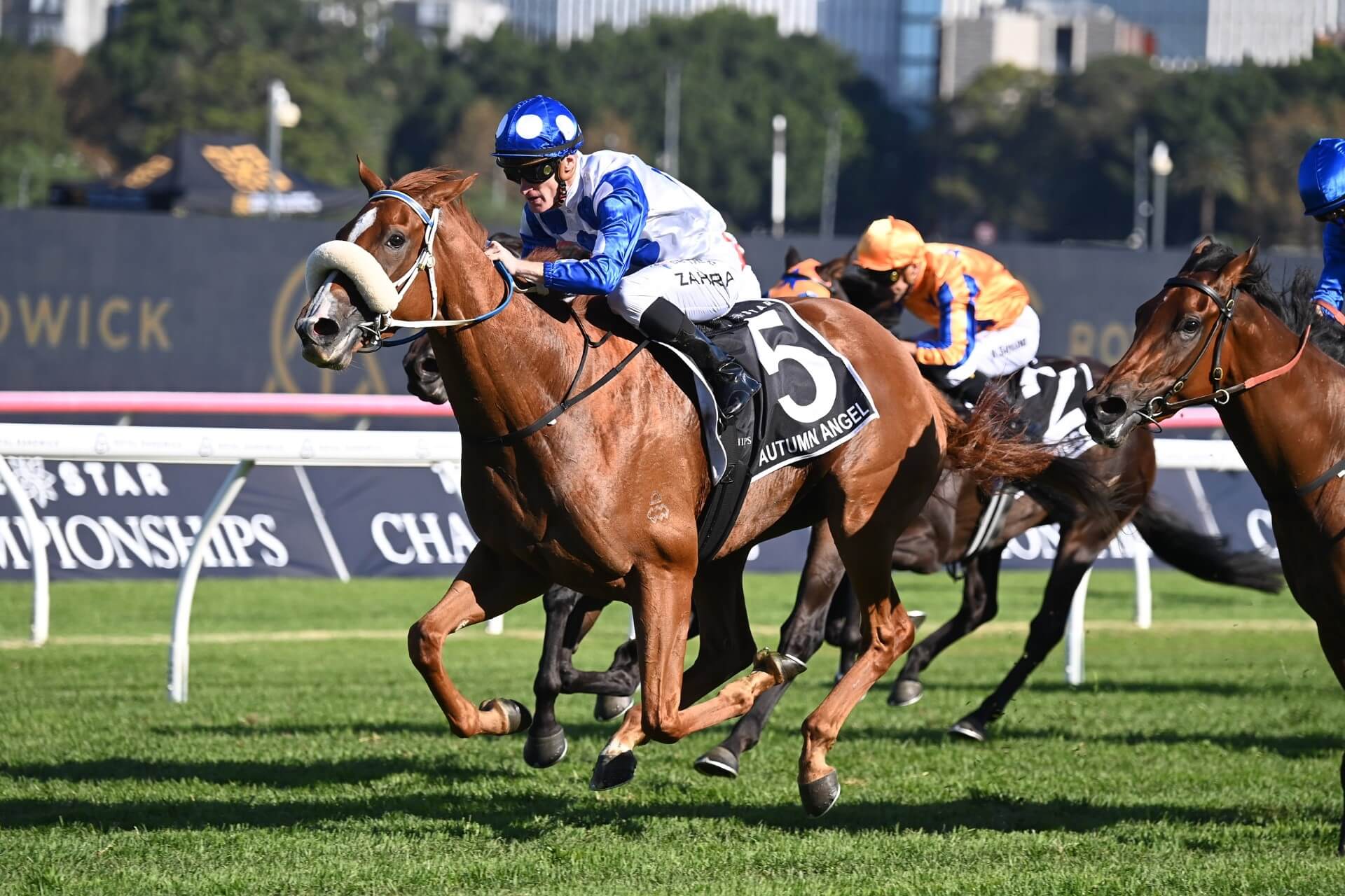 Australian Oaks 2024 Results: Autumn Angel Beats Zardozi on the Back-Up ...