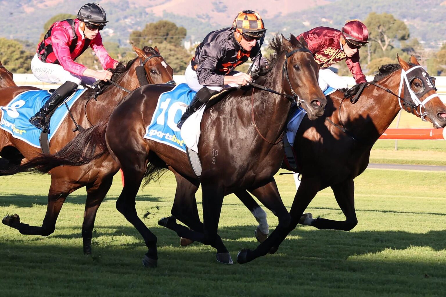 Morphettville Racecourse - South Australia - Adelaide Racing - SAJC ...