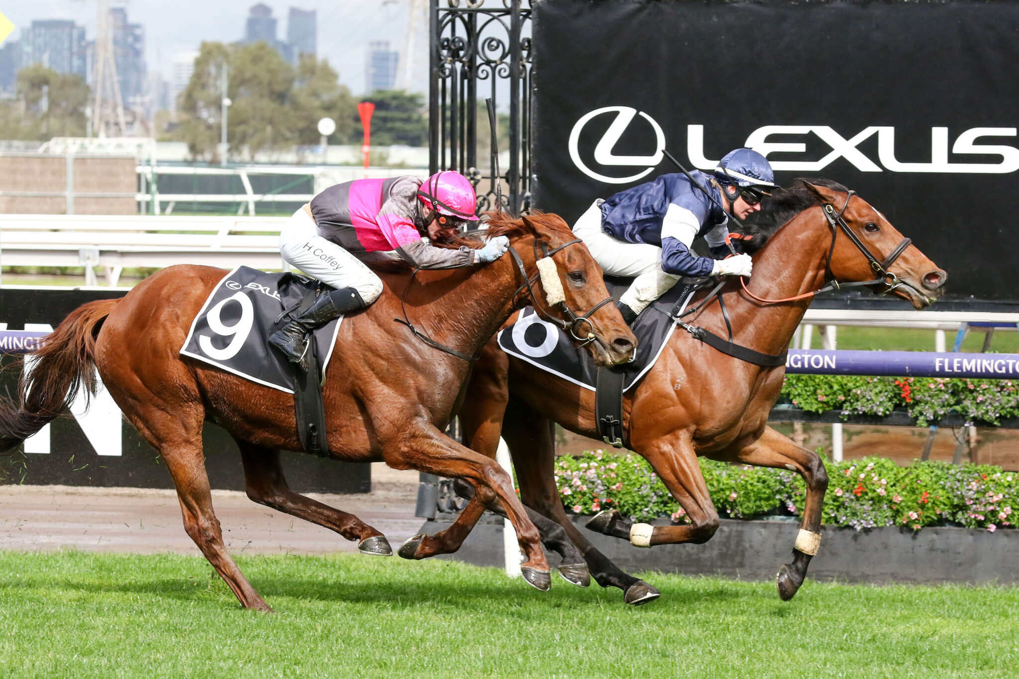 Lexus Melbourne Cup 2024 Second Acceptances: 55 Stayers Remain - races ...