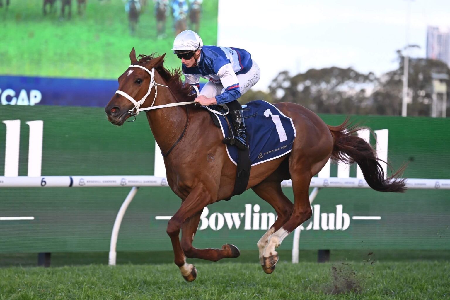 Etna Rosso Claims 2024 Newcastle Gold Cup for Six-Time Winner Waller ...