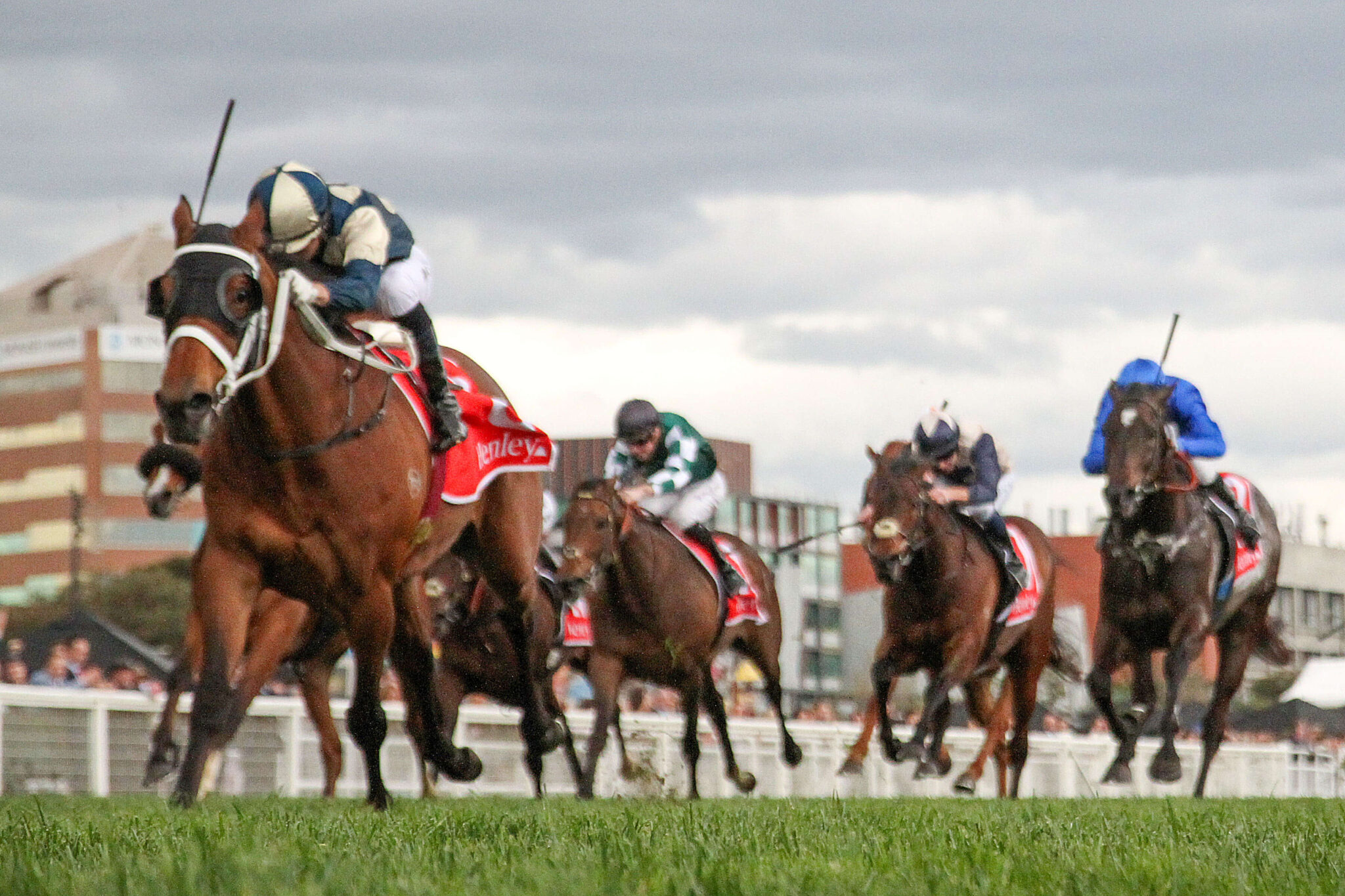 All Melbourne Cup Horses In 2024 Field: Pros & Cons - races.com.au