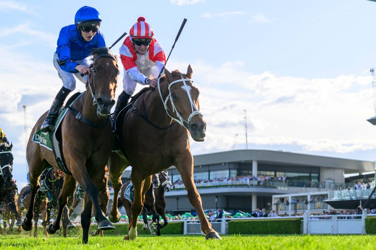 Melbourne Cup 2024 Field, Odds, Betting - Races.com.au