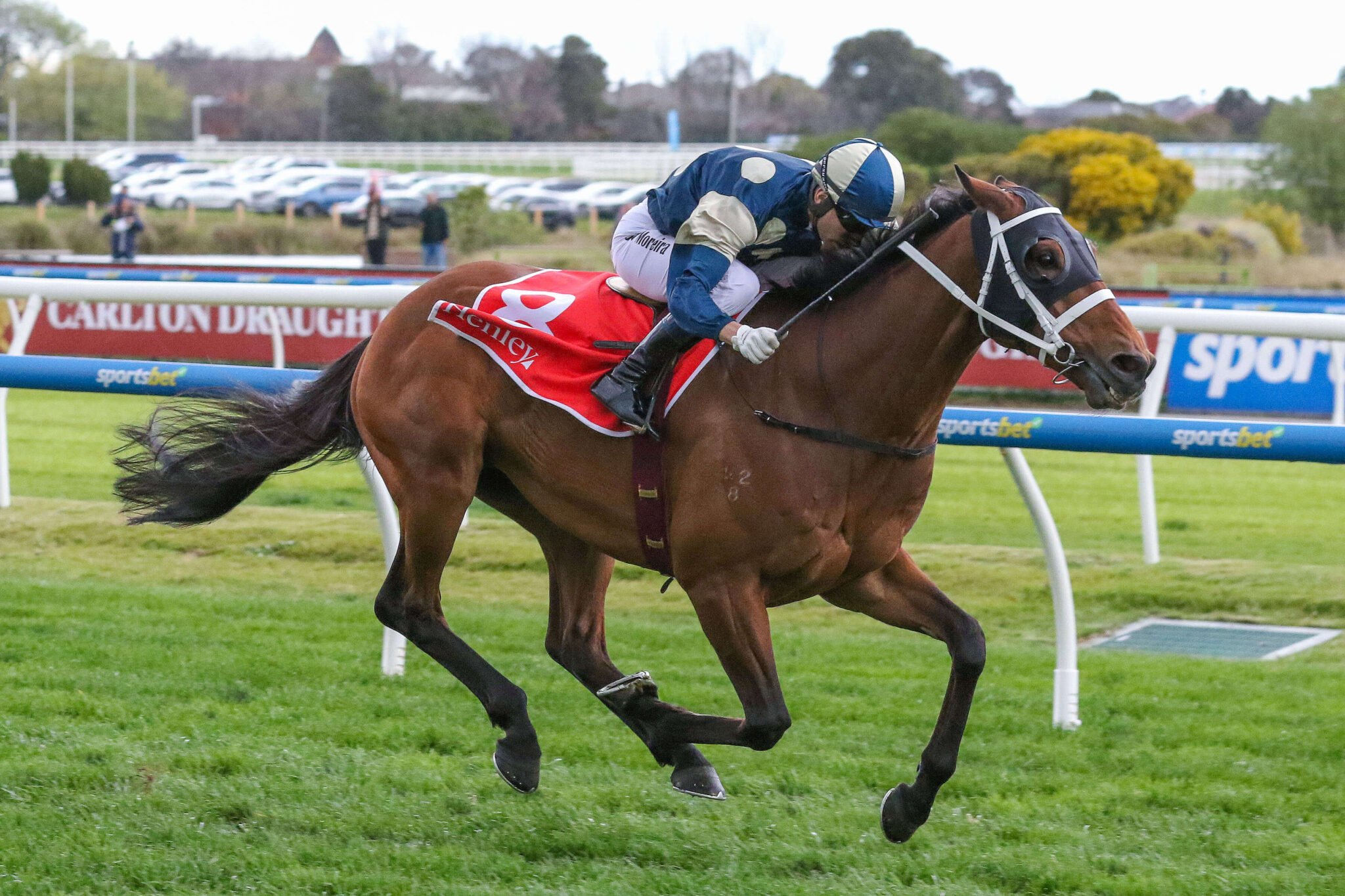 Melbourne Cup Day 2024: Flemington Race Scratchings & Track Report ...