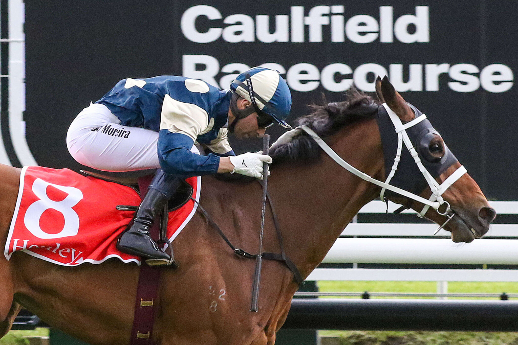 Can Waller Win Second Melbourne Cup in 2024 With Buckaroo? - races.com.au
